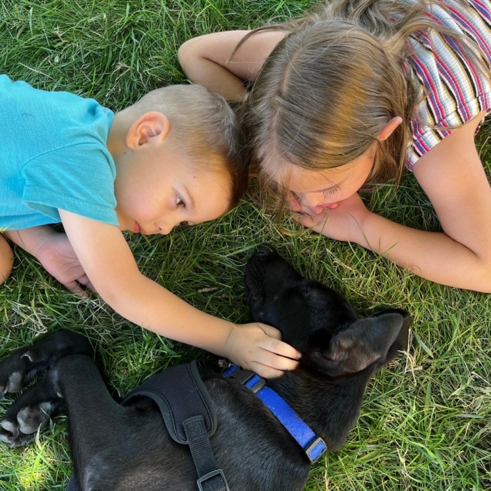 iResQ – Colorado Foster-Based Animal Rescue